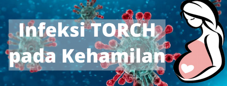 Infeksi TORCH pada Kehamilan - PT Indogen Intertama