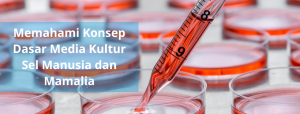 Memahami Konsep Dasar Media Kultur Sel Manusia dan Mamalia - PT Indogen Intertama