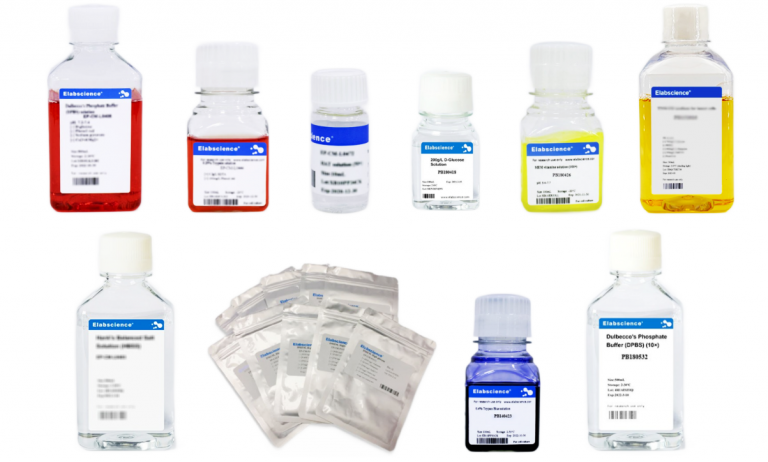 Memahami Konsep Dasar Media Kultur Sel Manusia dan Mamalia - PT Indogen ...