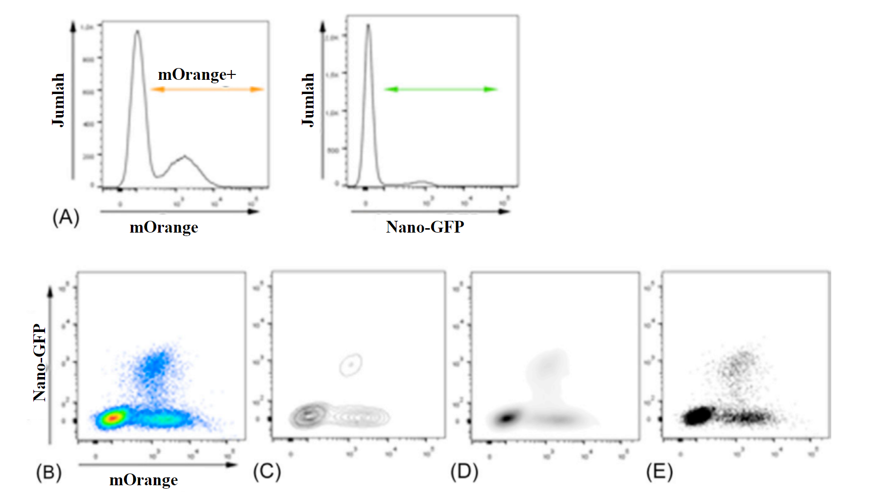 Prosedur Flow Cytometry dan Seleksi Jenis Antibodi Flow Cytometry - PT ...