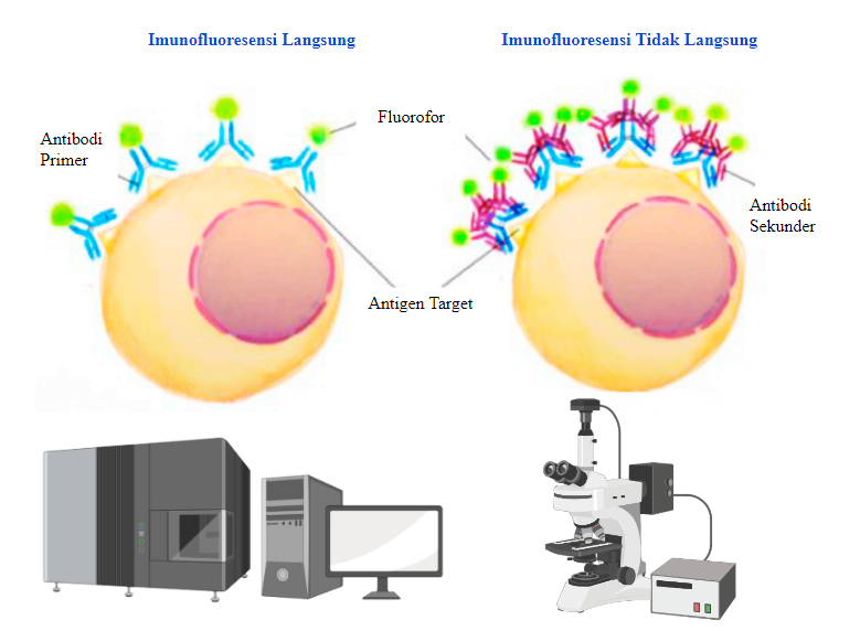 Introduksi Teknik Imunofluoresensi dengan Immunofluorescence Kit - PT ...