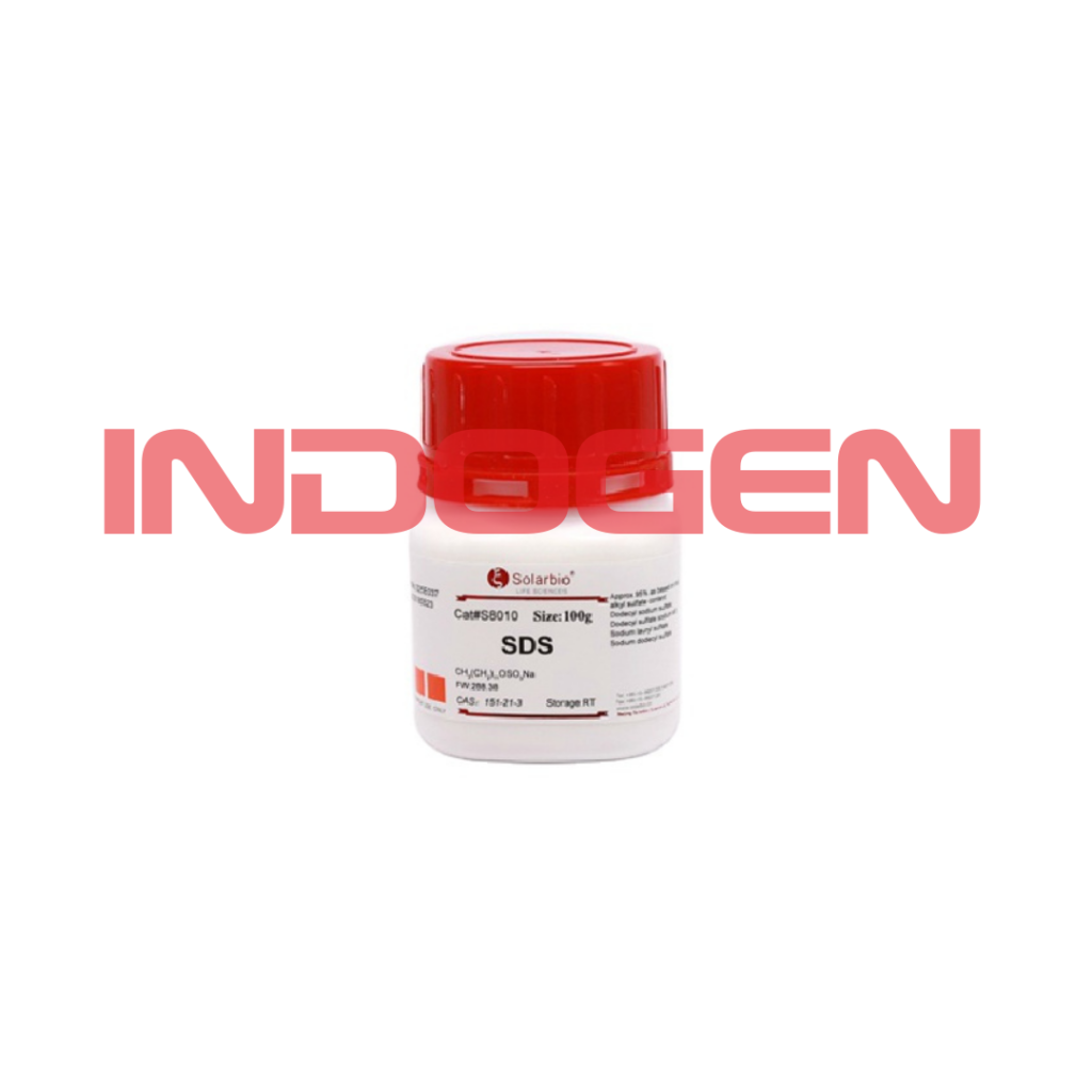 Prinsip Kerja Western Blotting (WB) dan Komponen yang Dibutuhkan ...