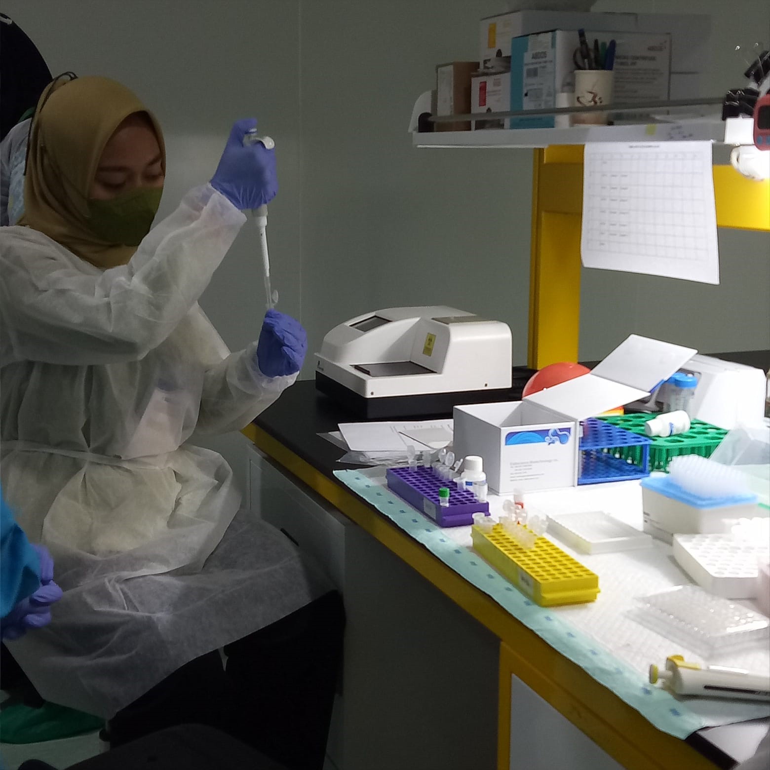 Workshop I ELISA: Pengukuran Kadar Leptin Metode ELISA - PT Indogen Intertama