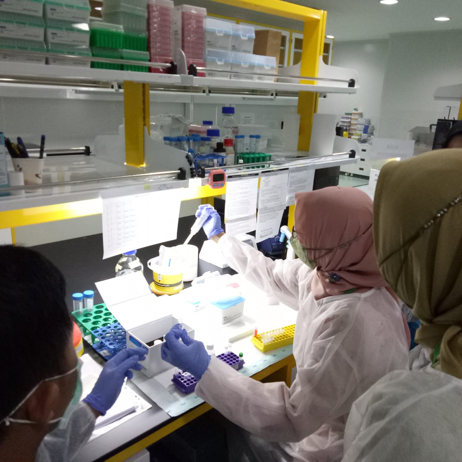 Workshop I ELISA: Pengukuran Kadar Leptin Metode ELISA - PT Indogen Intertama