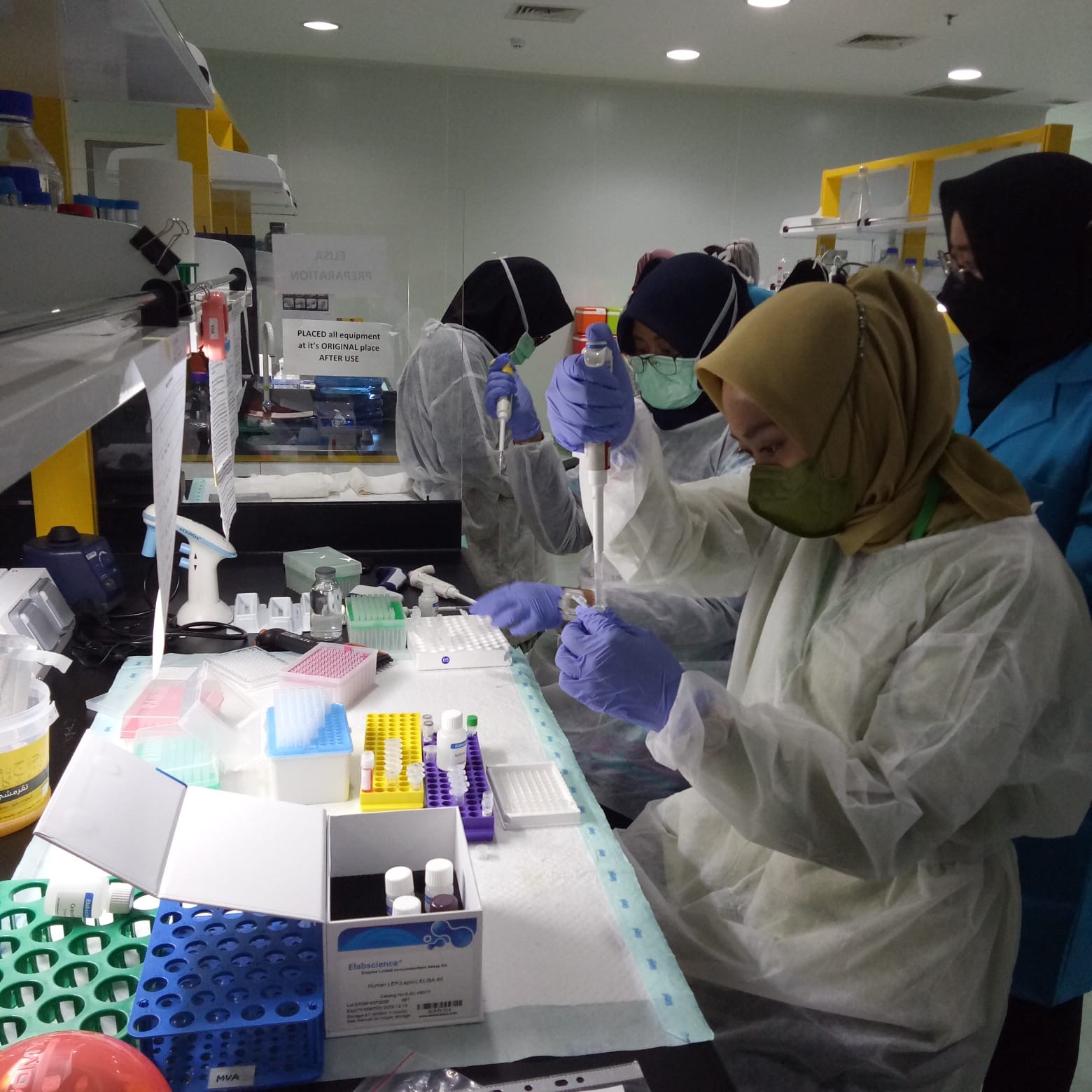 Workshop I ELISA: Pengukuran Kadar Leptin Metode ELISA - PT Indogen Intertama