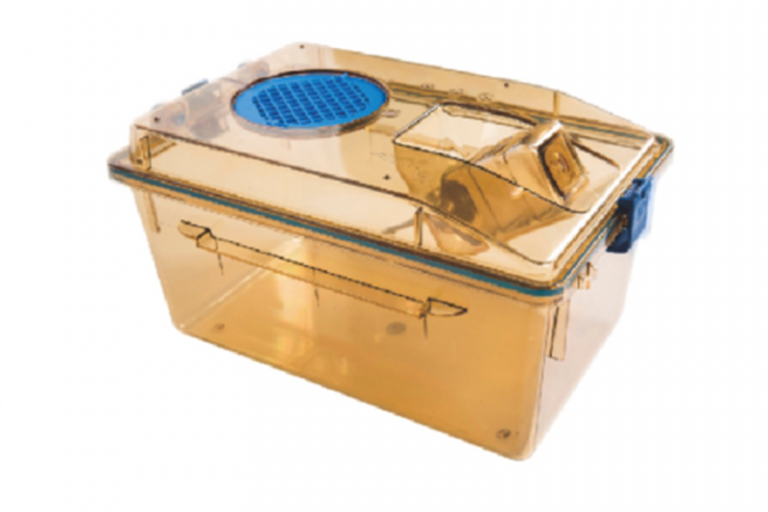 Apa itu IVC (Individually Ventilated Cage)? - PT Indogen Intertama