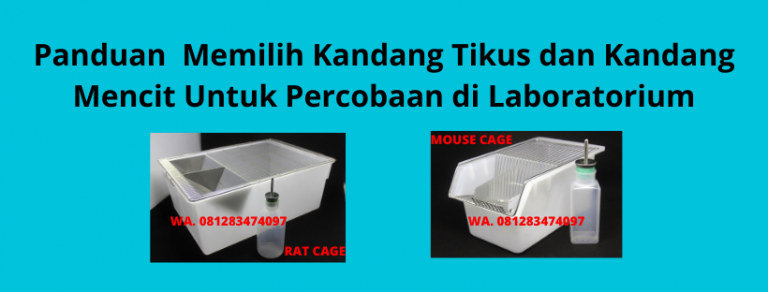 Panduan Memilih Kandang Tikus dan Kandang Mencit Untuk Percobaan di ...