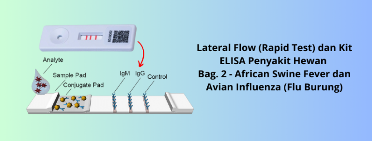 Lateral Flow (Rapid Test) dan Kit ELISA Penyakit Hewan Bag. 2 - African ...