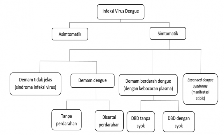 Uji Diagnosis NS1, IgG Dengue dan IgM Dengue dengan Metode ELISA - PT Indogen Intertama