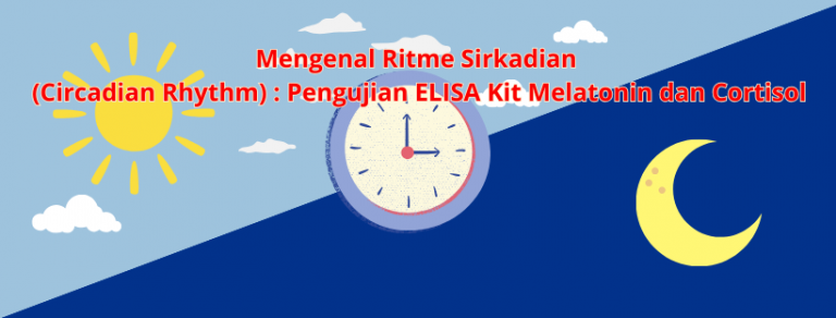Mengenal Ritme Sirkadian (Circadian Rhythm) : Pengujian ELISA Kit ...