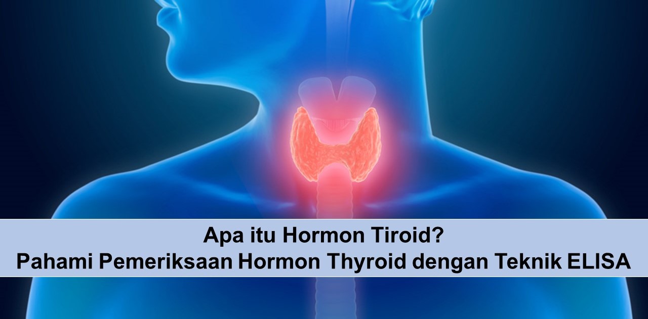 Apa itu Hormon Tiroid? Pahami Pemeriksaan Hormon Thyroid dengan Teknik ...