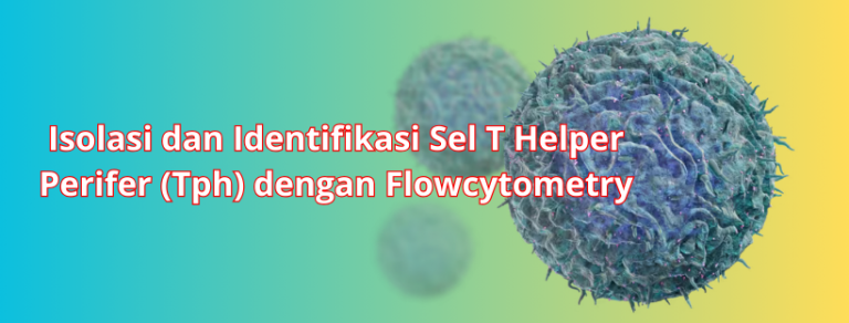 Isolasi dan Identifikasi Sel T Helper Perifer (Tph) dengan ...