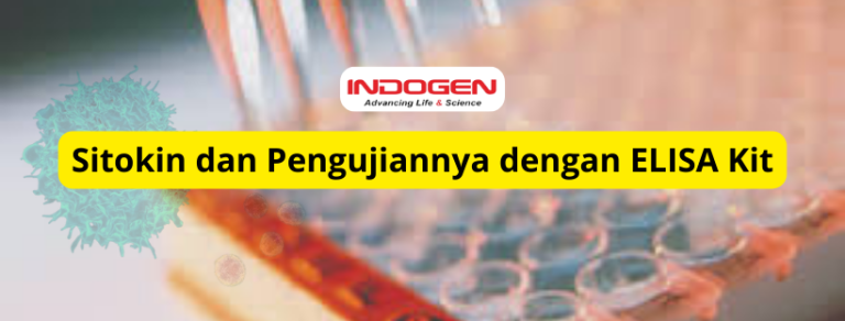 Sitokin dan Pengujiannya dengan ELISA Kit - PT Indogen Intertama
