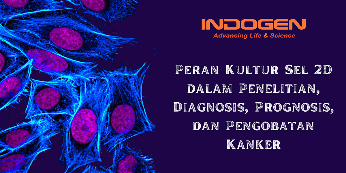 Peran Kultur Sel 2D dalam Penelitian, Diagnosis, Prognosis, dan ...