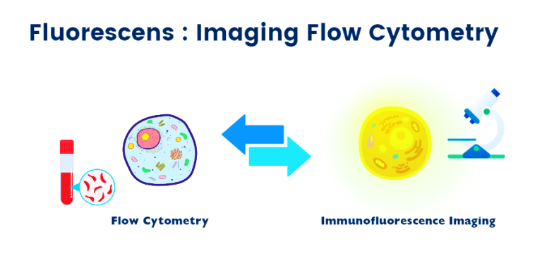 Peran-Peran Metode Flow Cytometry dalam Integrasi Teknik Deteksi ...