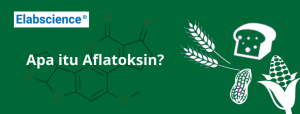Apa itu Aflatoksin? - PT Indogen Intertama