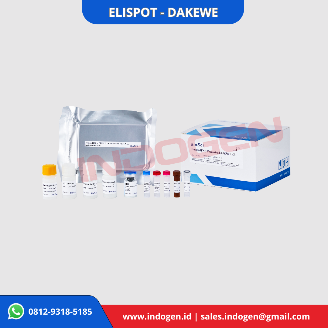 Mengenal Metode ELISPOT (Enzyme-Linked ImmunoSpot) dengan produk ELISPOT Kit dari DAKEWE - PT ...