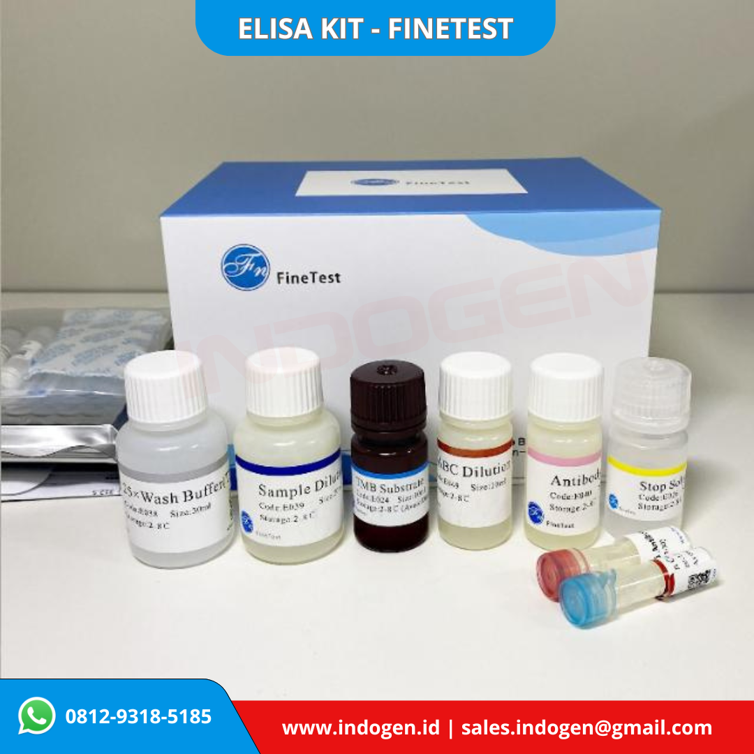Monkey ELISA kit Merk FineTest Untuk Penelitian dan Pengujian Obat dan ...