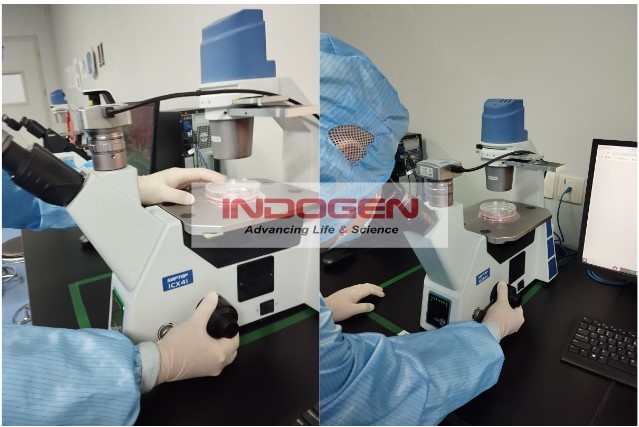 Training bersama Elabscience di Wuhan, China Bagian 4: Tips dan Trik ...