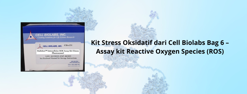 Kit Stress Oksidatif dari Cell Biolabs Bag 6 – Assay kit Reactive ...