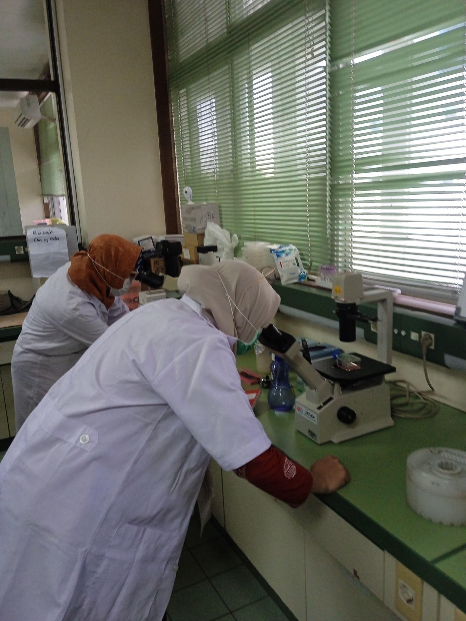 Workshop: The 8th Molecular and Cell Culture - Cultivate Consistency ...