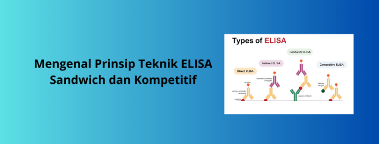 Mengenal Prinsip Teknik ELISA Sandwich dan Kompetitif - PT Indogen ...