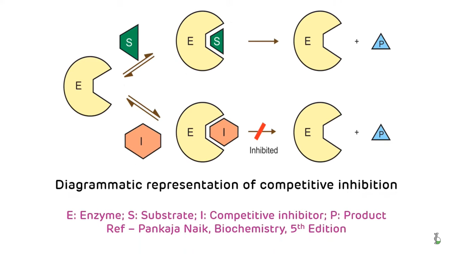Prinsip Inhibisi Enzimatis dan Jenis Inhibisinya - PT Indogen Intertama