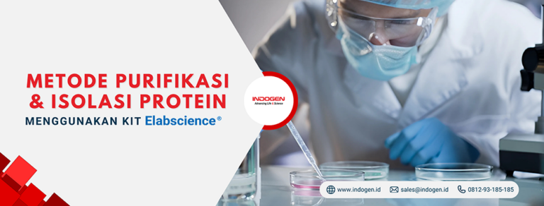 Metode Purifikasi dan Isolasi Protein menggunakan Kit Elabscience - PT ...