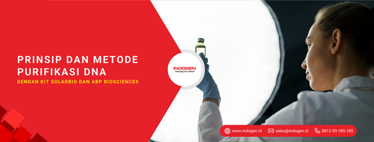 Prinsip dan Metode Purifikasi DNA dengan kit Solarbio dan ABP ...