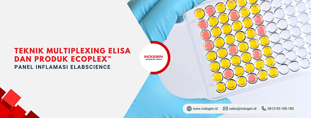 Teknik Multiplexing ELISA dan Produk EcoPlex™ Panel Inflamasi ...